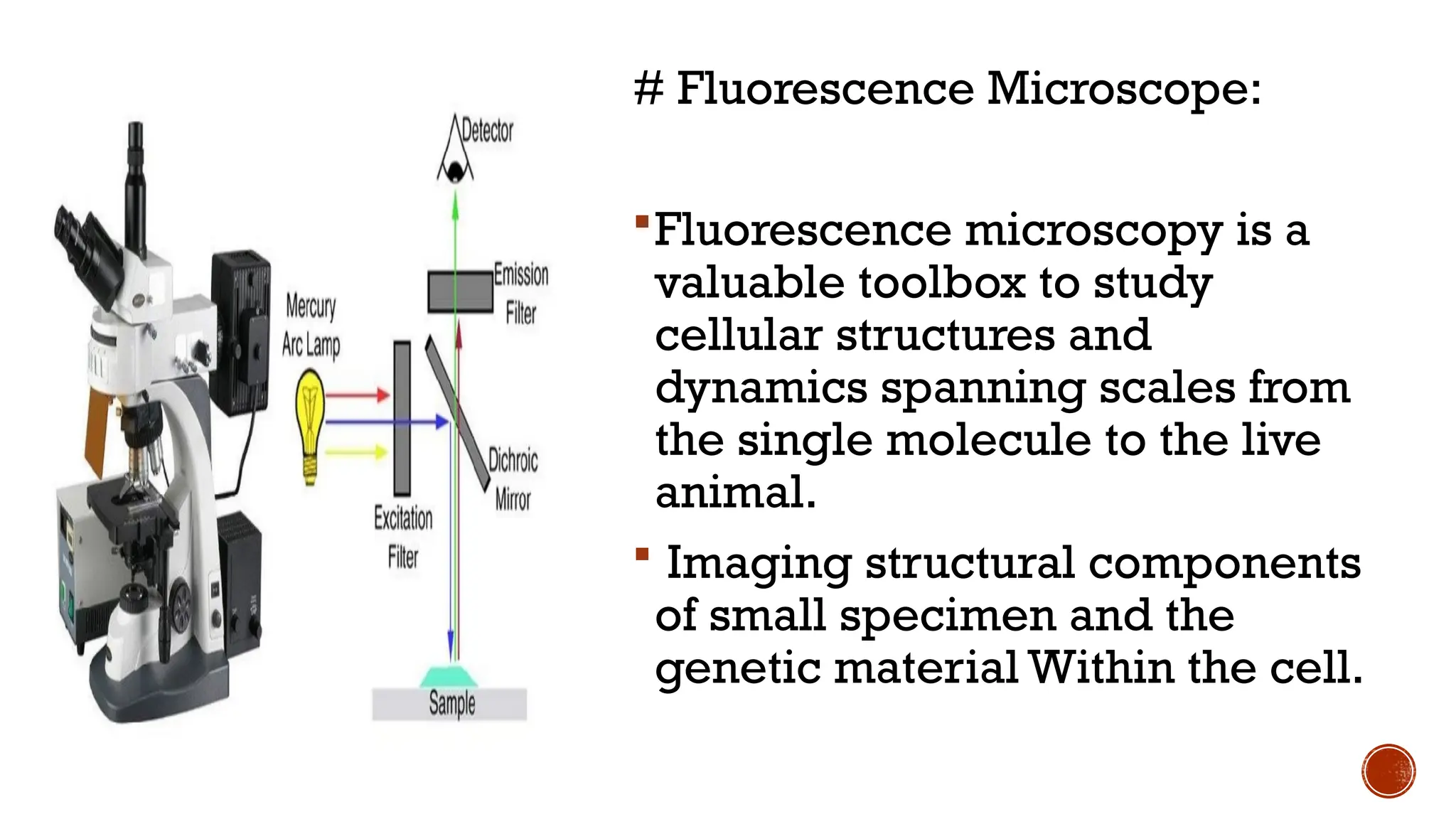 Types of Microscopy -optical, electron, and scanning probe microscopy | PPT