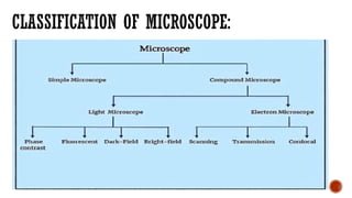 Types of Microscopy -optical, electron, and scanning probe microscopy | PPT