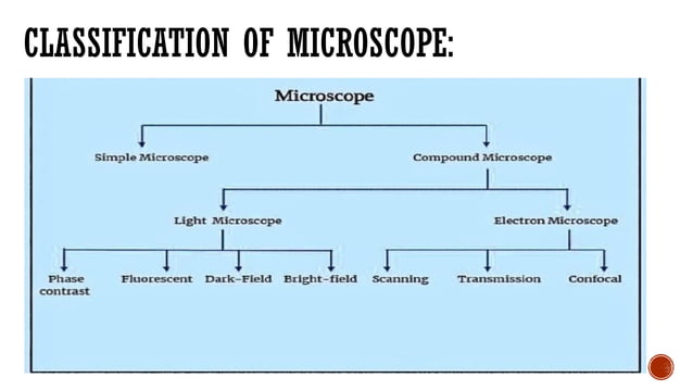 Types of Microscopy -optical, electron, and scanning probe microscopy | PPT