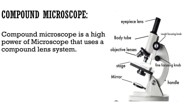 Types of Microscopy -optical, electron, and scanning probe microscopy | PPT