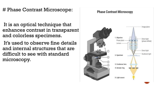 Types of Microscopy -optical, electron, and scanning probe microscopy | PPT