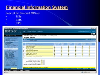 Types+of+mis(functional) | PDF
