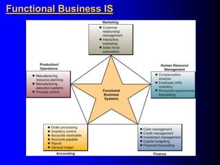 Types+of+mis(functional) | PDF