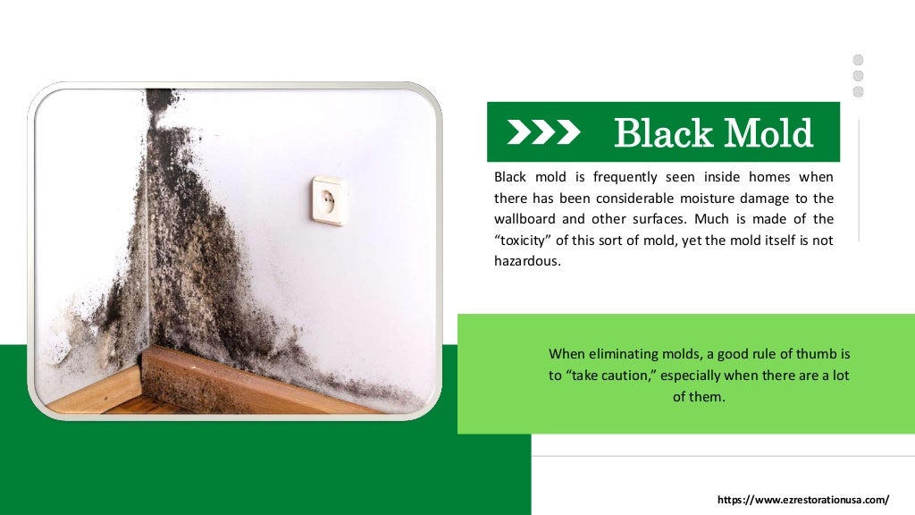 Types Of Mold Hanpering Structural Integrity.pptx