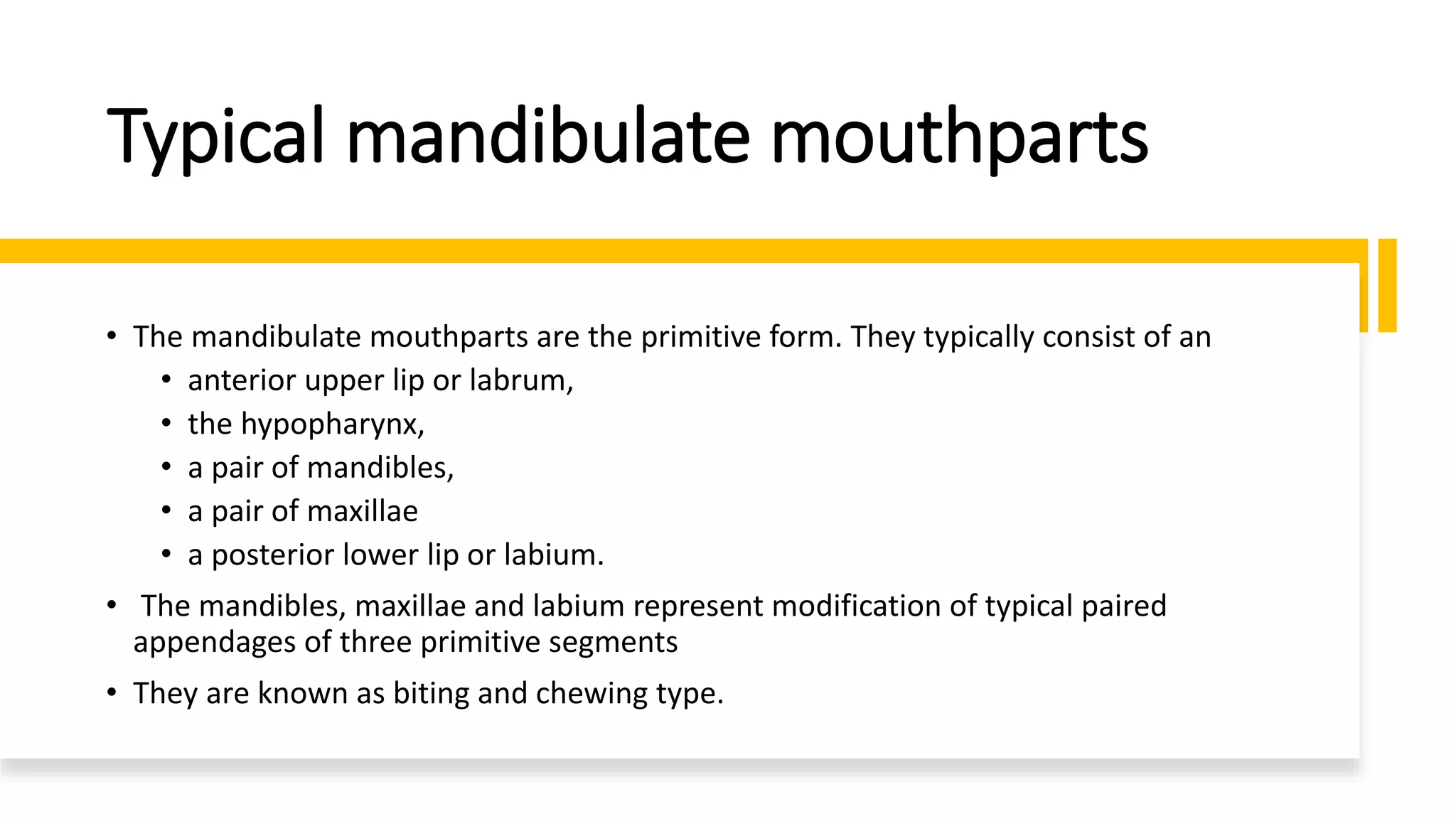 TYPES OF MOUTH PARTS.pptx