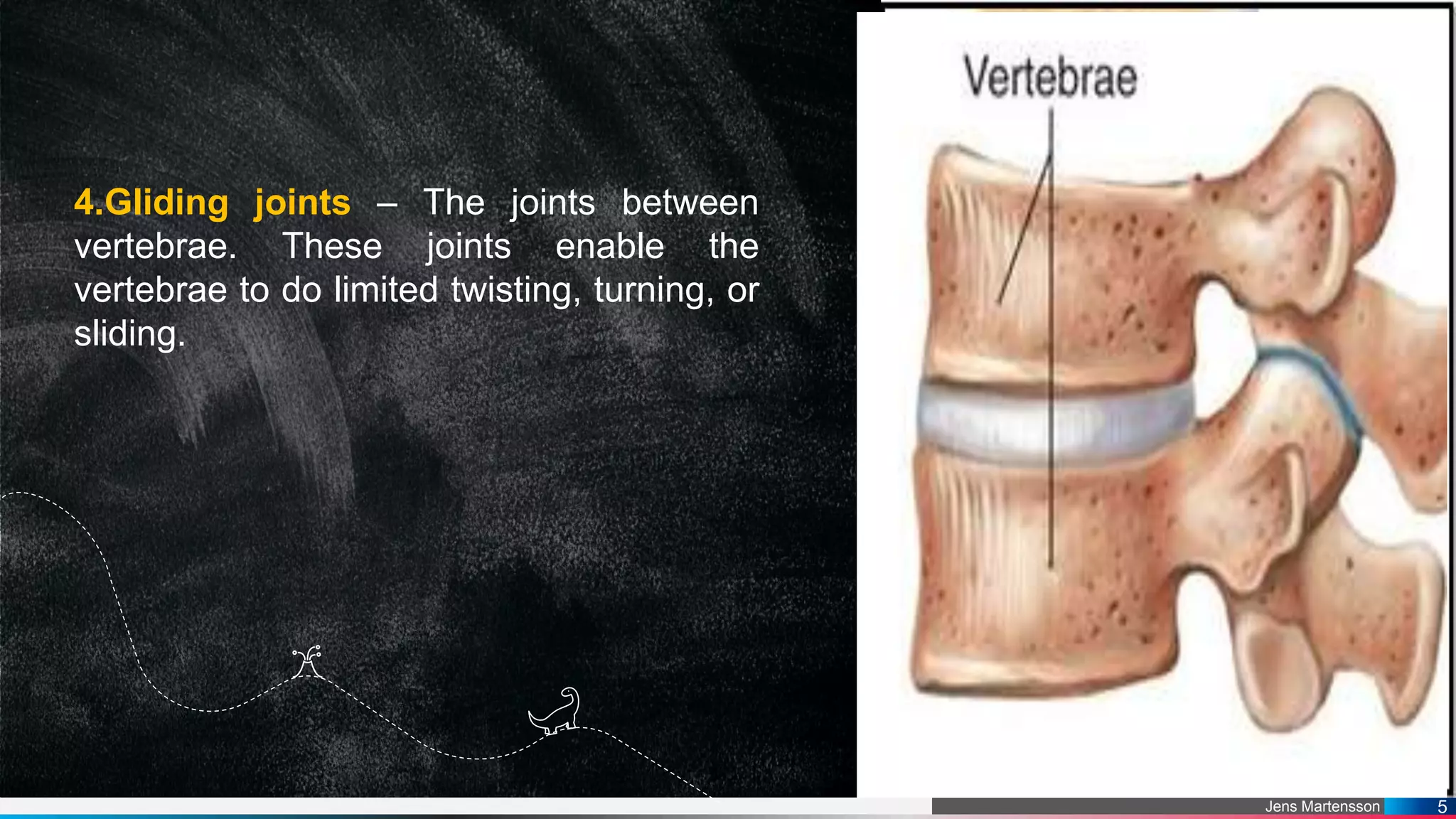 Types of movable joints | PPTX