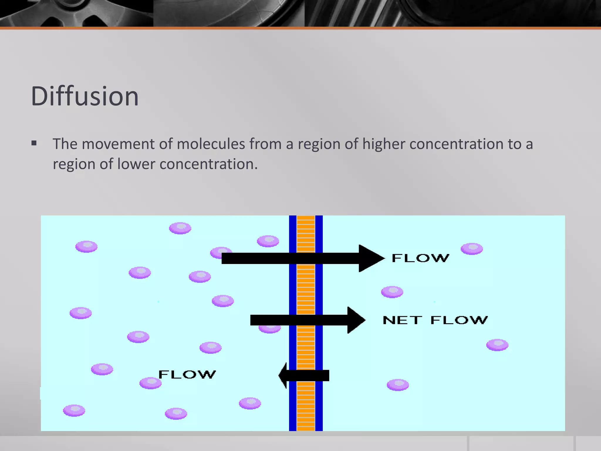 Types of movement across the cell membrane | PPTX