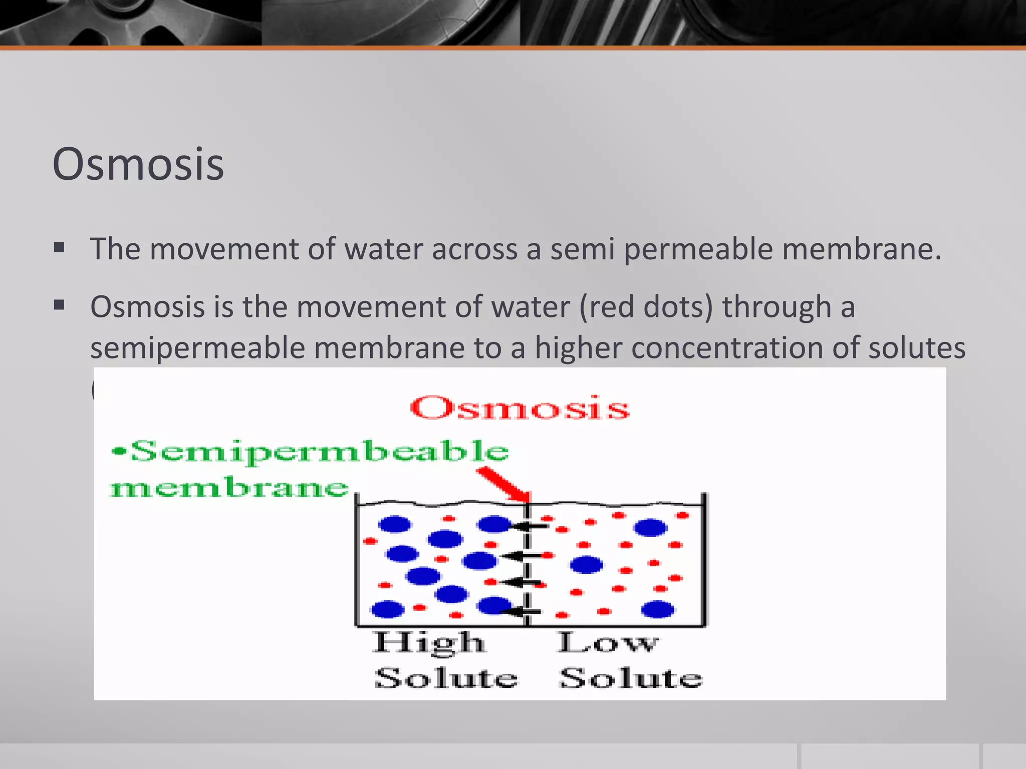 Types of movement across the cell membrane | PPTX