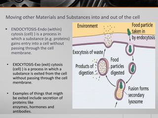 Types of movement across the cell membrane | PPTX