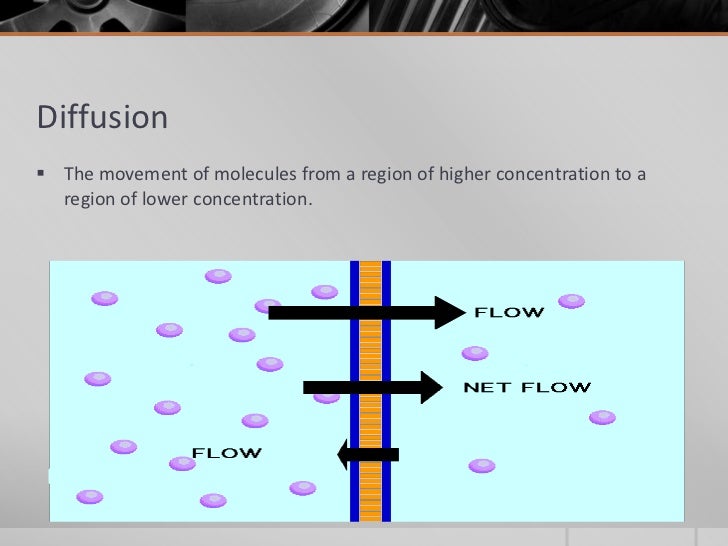 Types of movement across the cell membrane