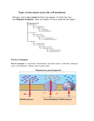 Types of movement across the cell membrane | DOCX
