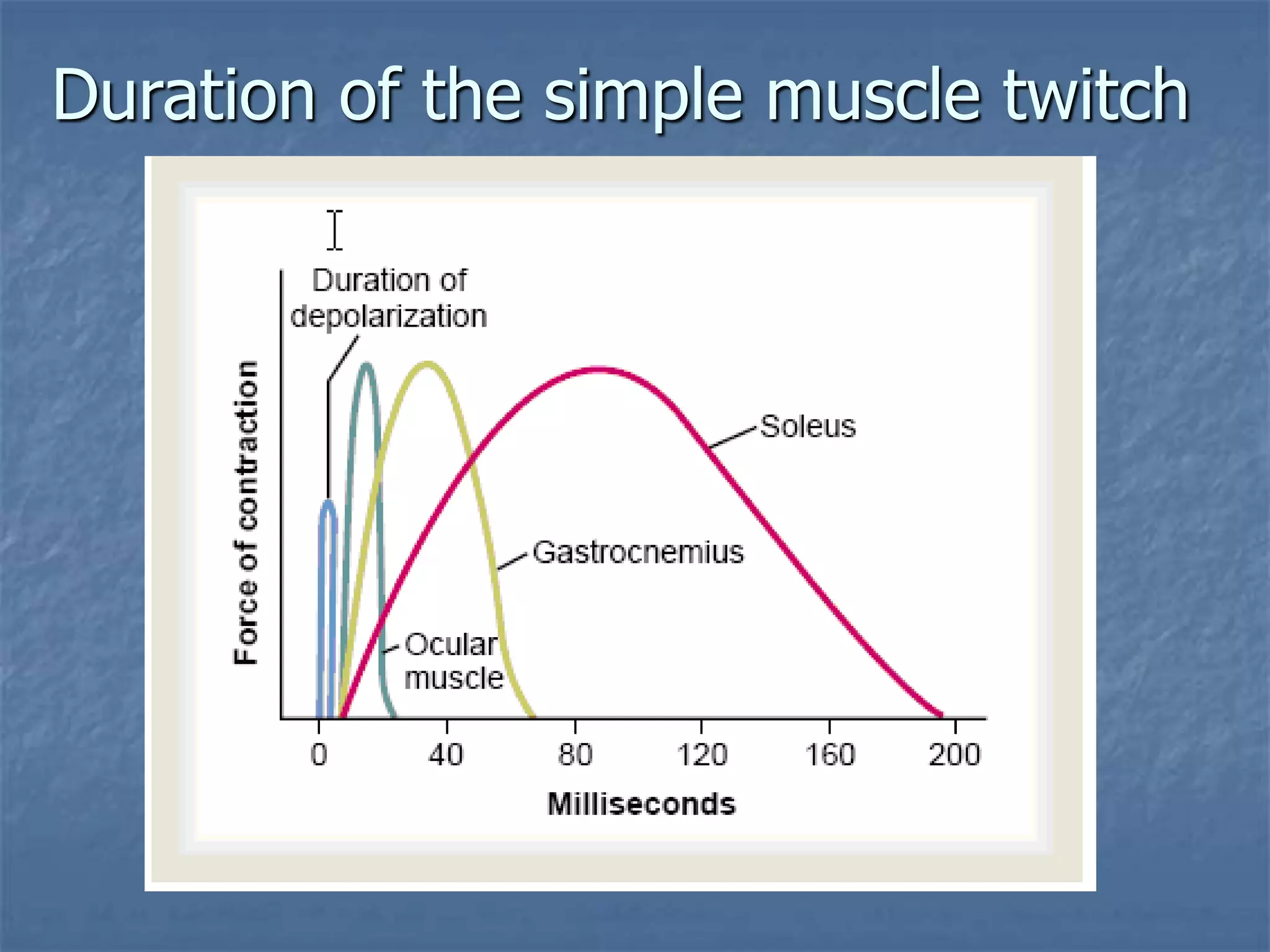 Types of ms fibers & types of exercise dr gad | PPT