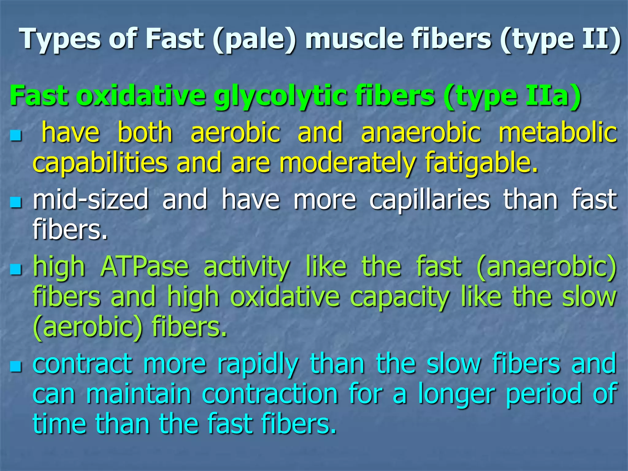 Types of ms fibers & types of exercise dr gad | PPT