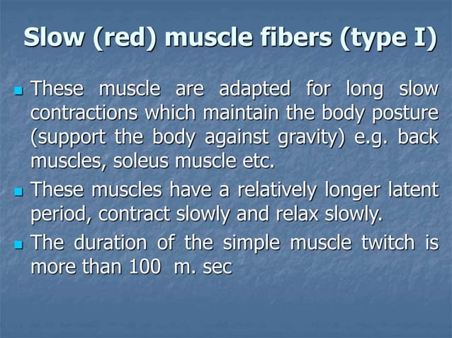 Types of ms fibers & types of exercise dr gad | PPT | Lung and ...