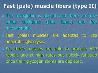 Types of ms fibers & types of exercise dr gad | PPT