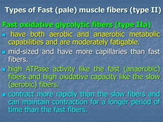 Types of ms fibers & types of exercise dr gad | PPT