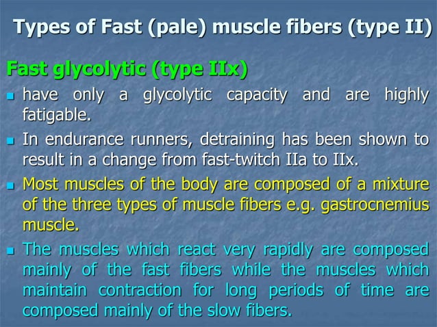 Types of ms fibers & types of exercise dr gad | PPT | Lung and ...
