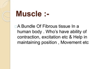 Types of muscle | PPTX