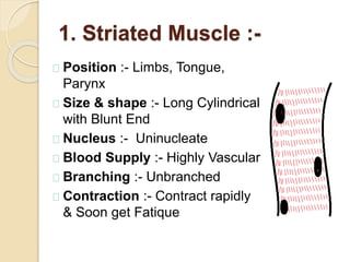 Types of muscle | PPTX