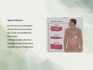 Types of Muscle-P.LaksmiAnnapurna-33.pptx