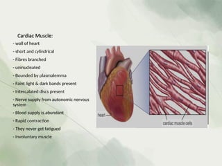 Types of Muscle-P.LaksmiAnnapurna-33.pptx