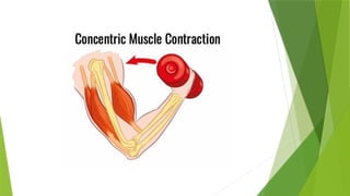 TYPES OF MUSCLE ACTION AND SENSORY RECEPTORS.pptx