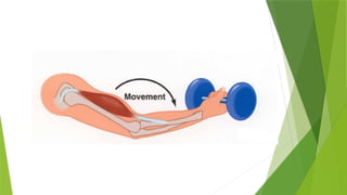 TYPES OF MUSCLE ACTION AND SENSORY RECEPTORS.pptx
