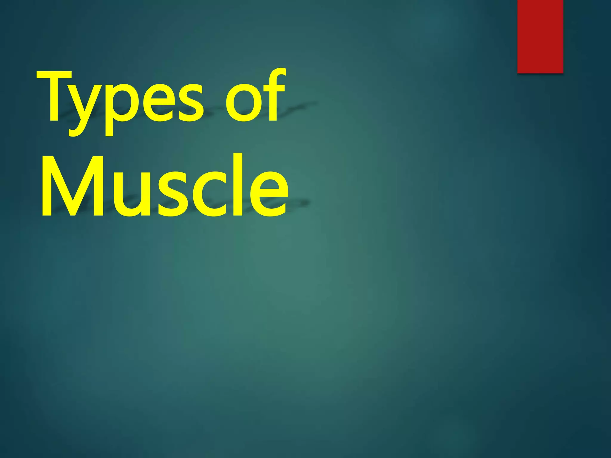 Types of muscle bioengeenring.pptx | Biological Sciences | Science