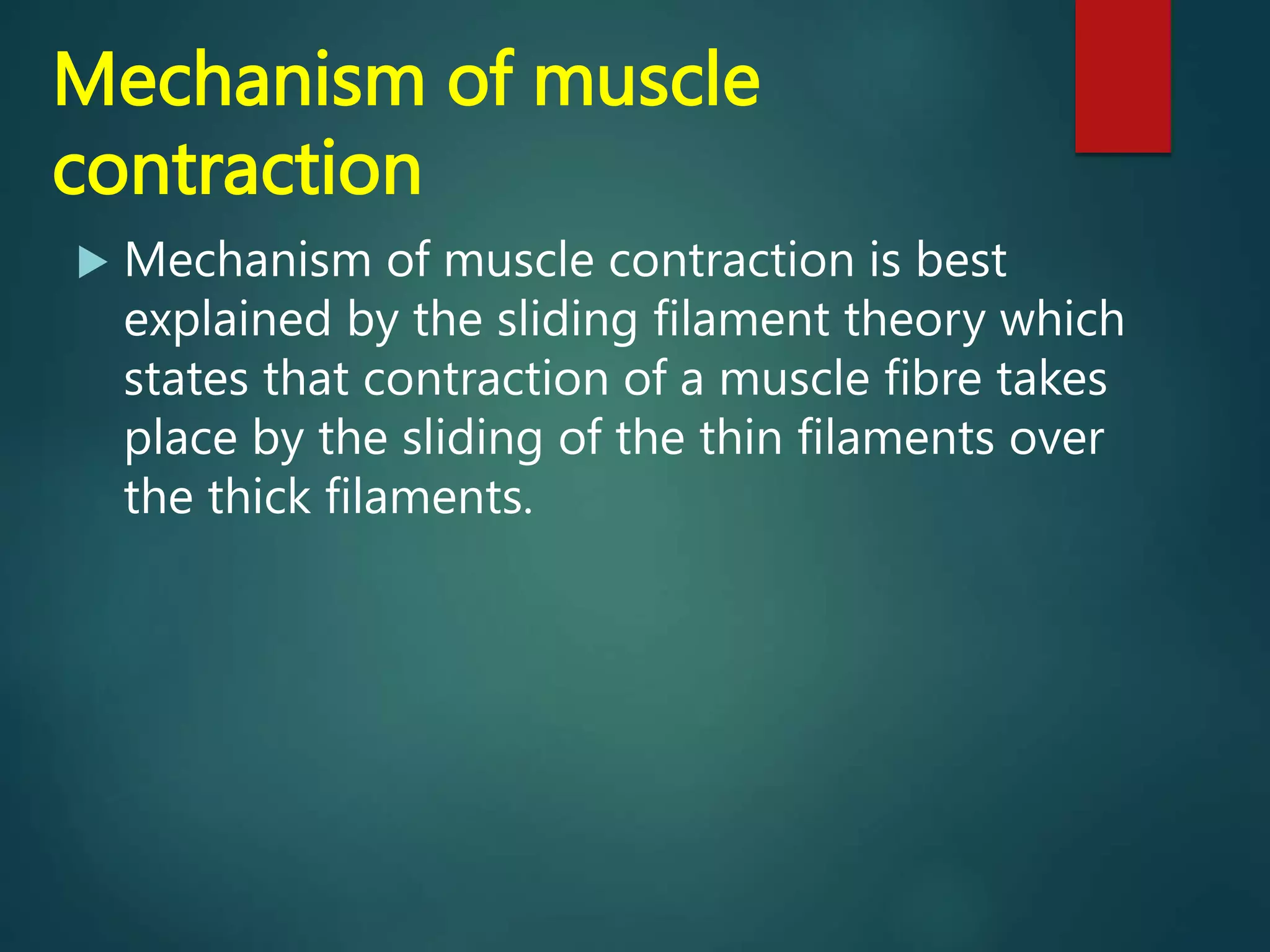 Types of muscle bioengeenring.pptx | Biological Sciences | Science