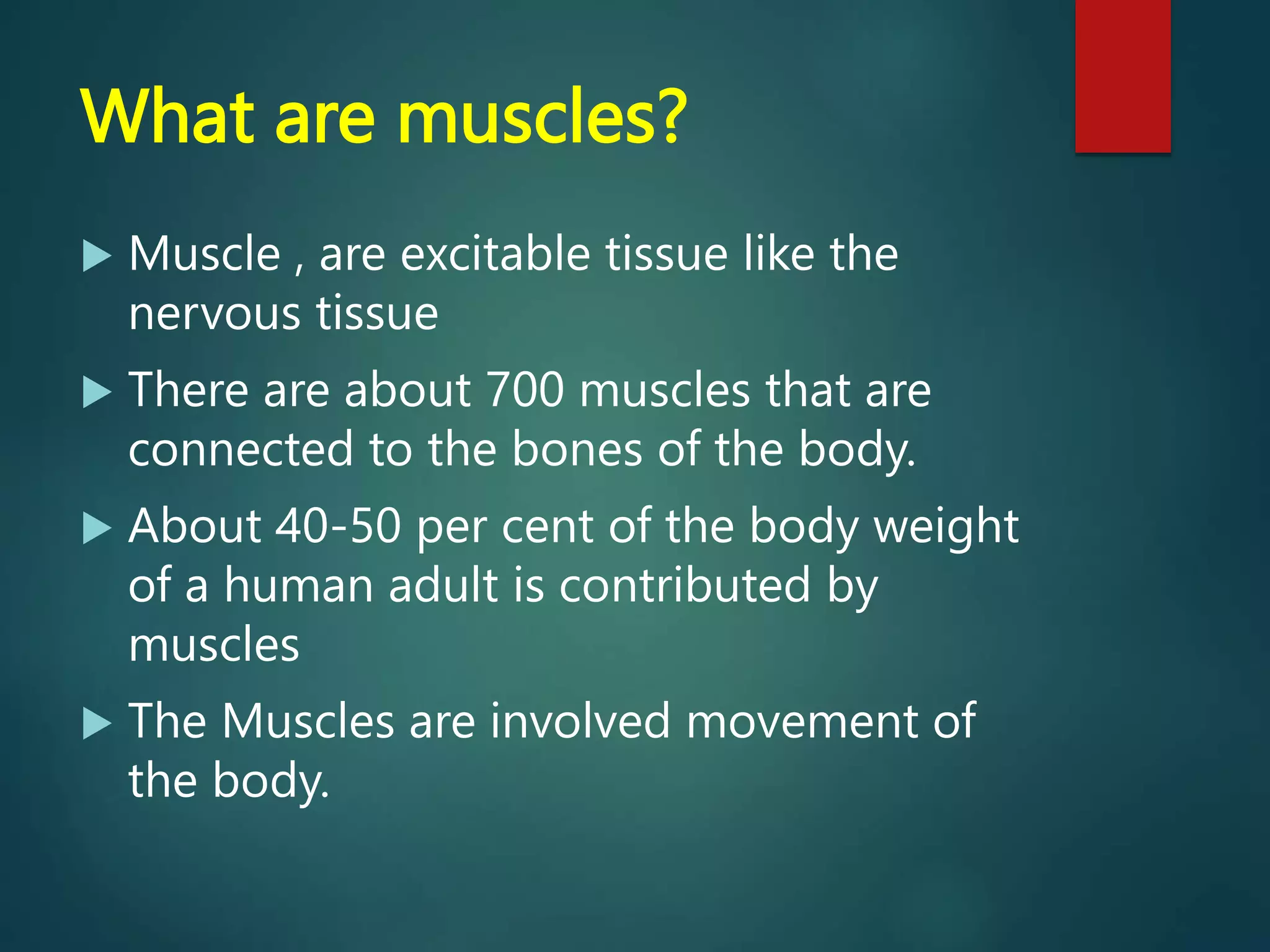 Types of muscle bioengeenring.pptx | Biological Sciences | Science