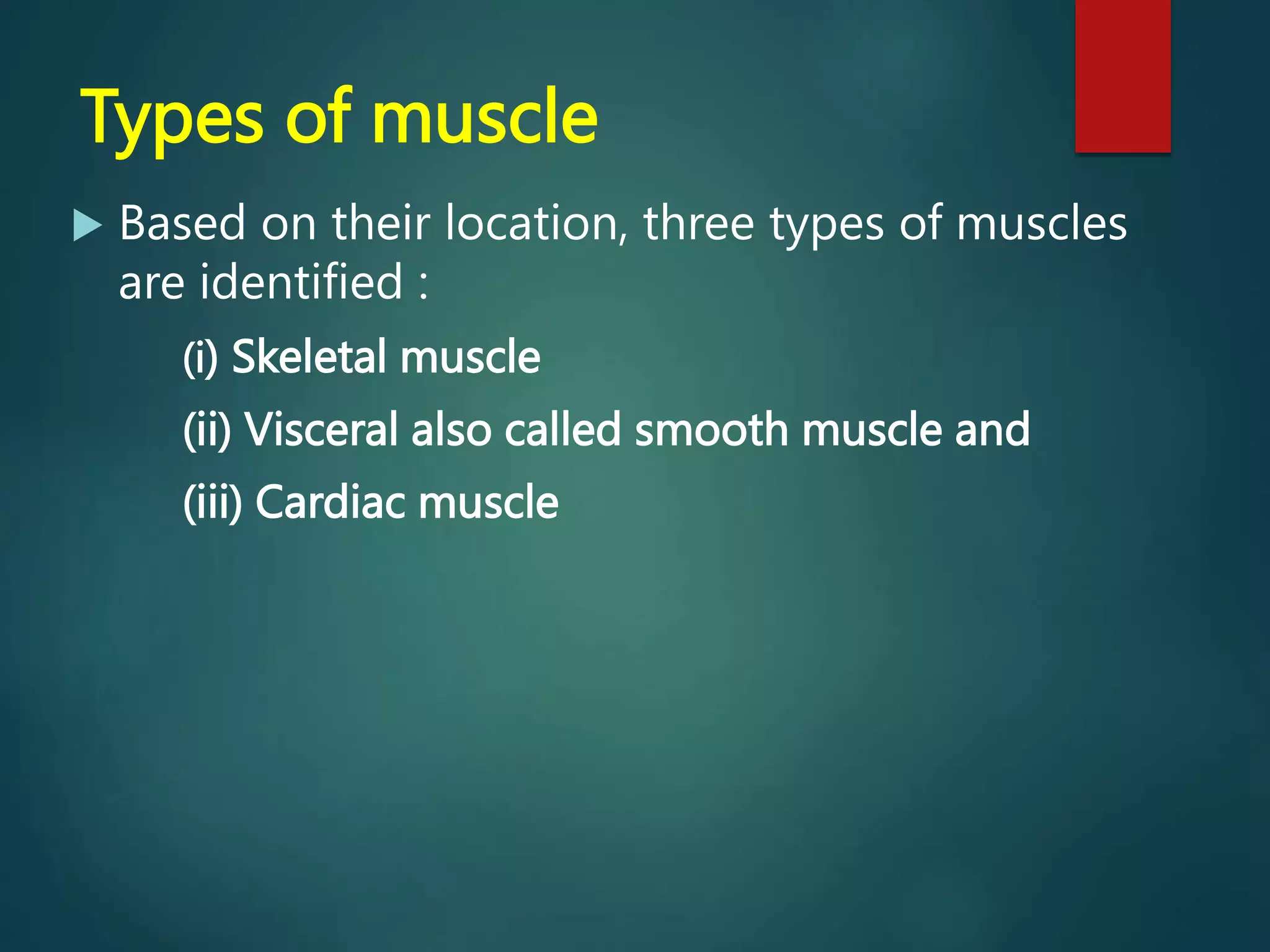 Types of muscle bioengeenring.pptx | Biological Sciences | Science