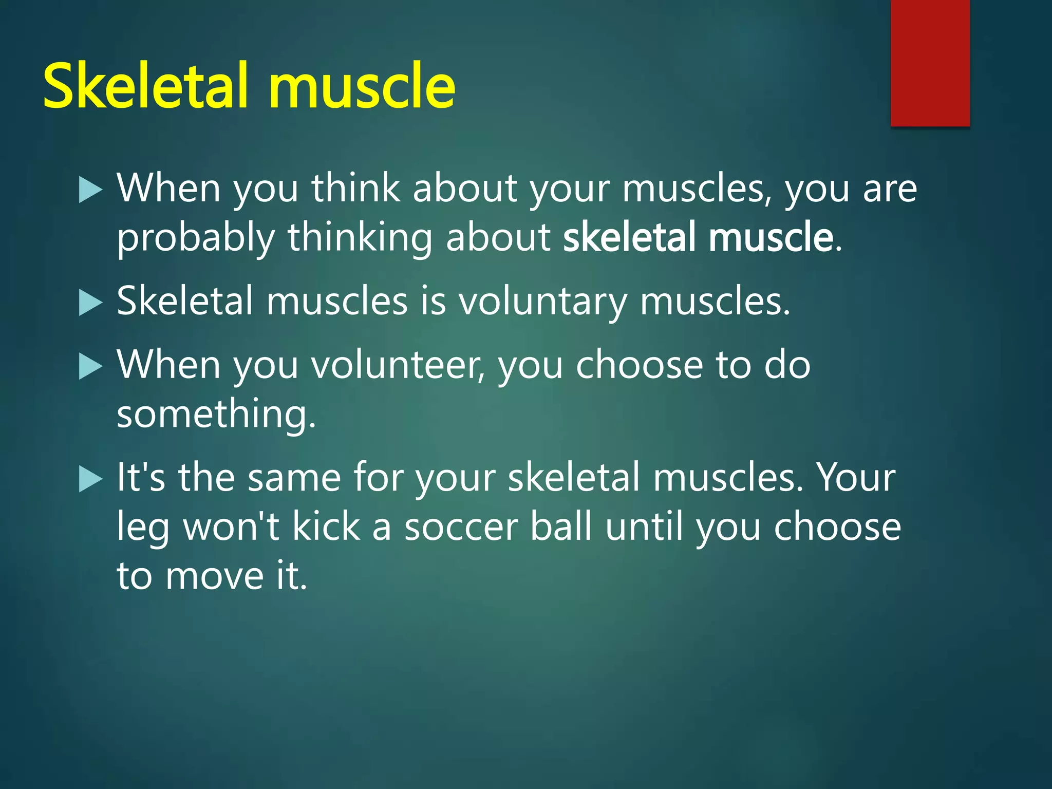 Types of muscle bioengeenring.pptx | Biological Sciences | Science