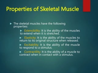 Types of muscle bioengeenring.pptx | Biological Sciences | Science