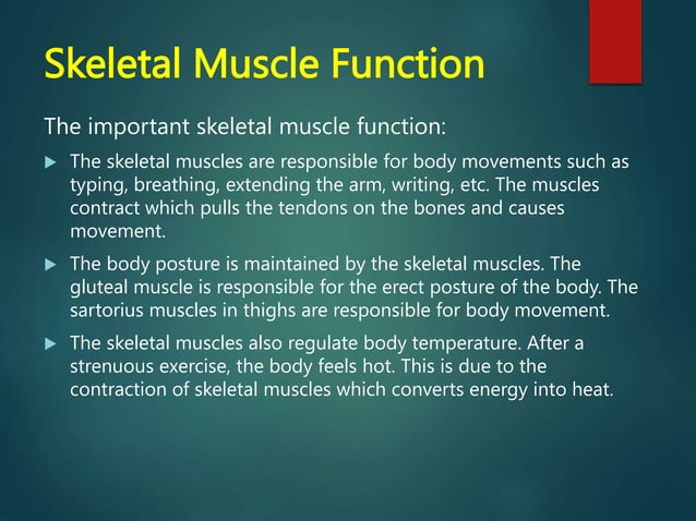 Types of muscle bioengeenring.pptx | Biological Sciences | Science