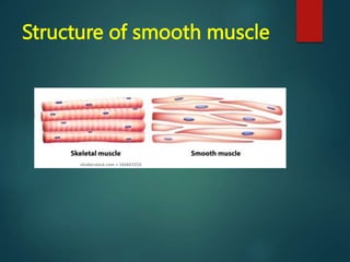 Types of muscle bioengeenring.pptx | Biological Sciences | Science