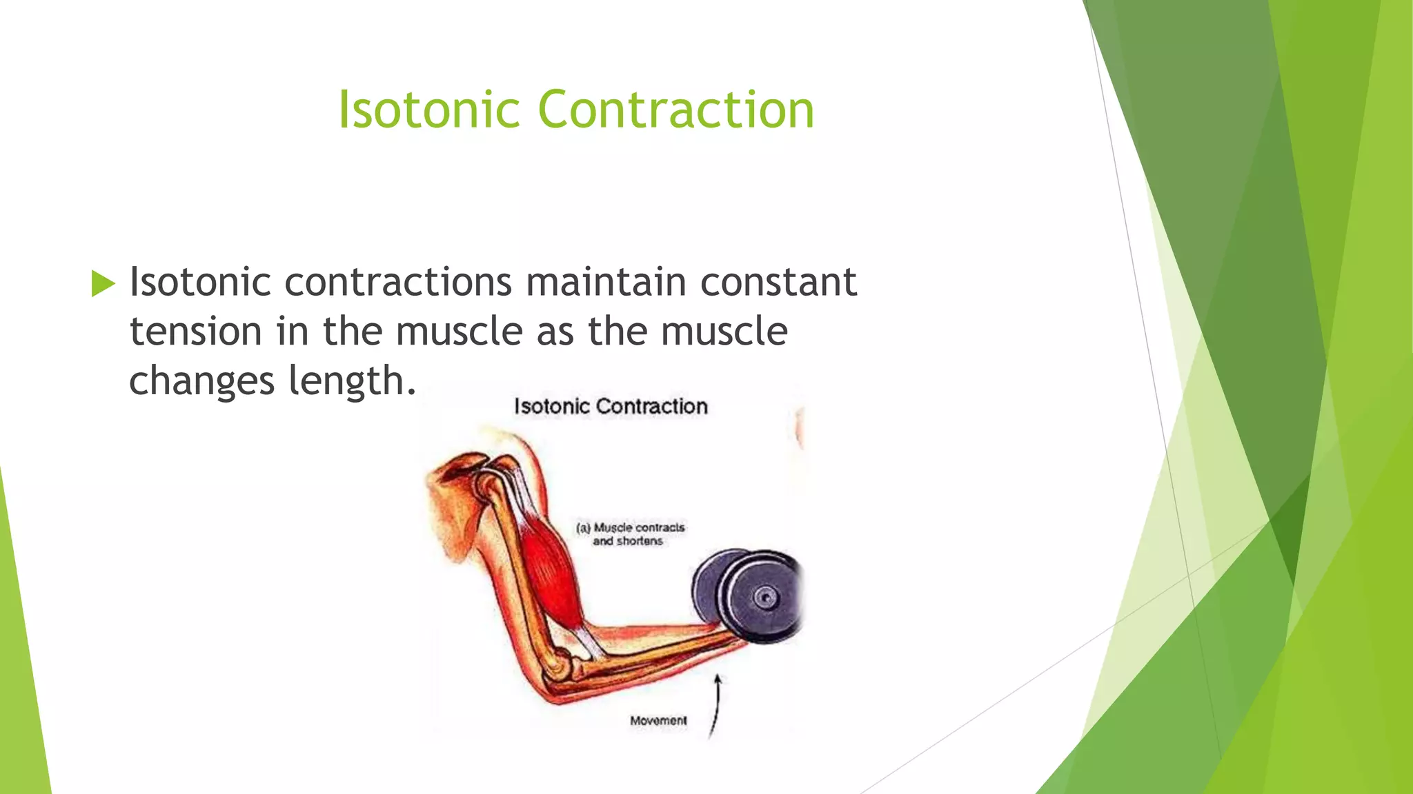 Types of muscle contraction | PPTX