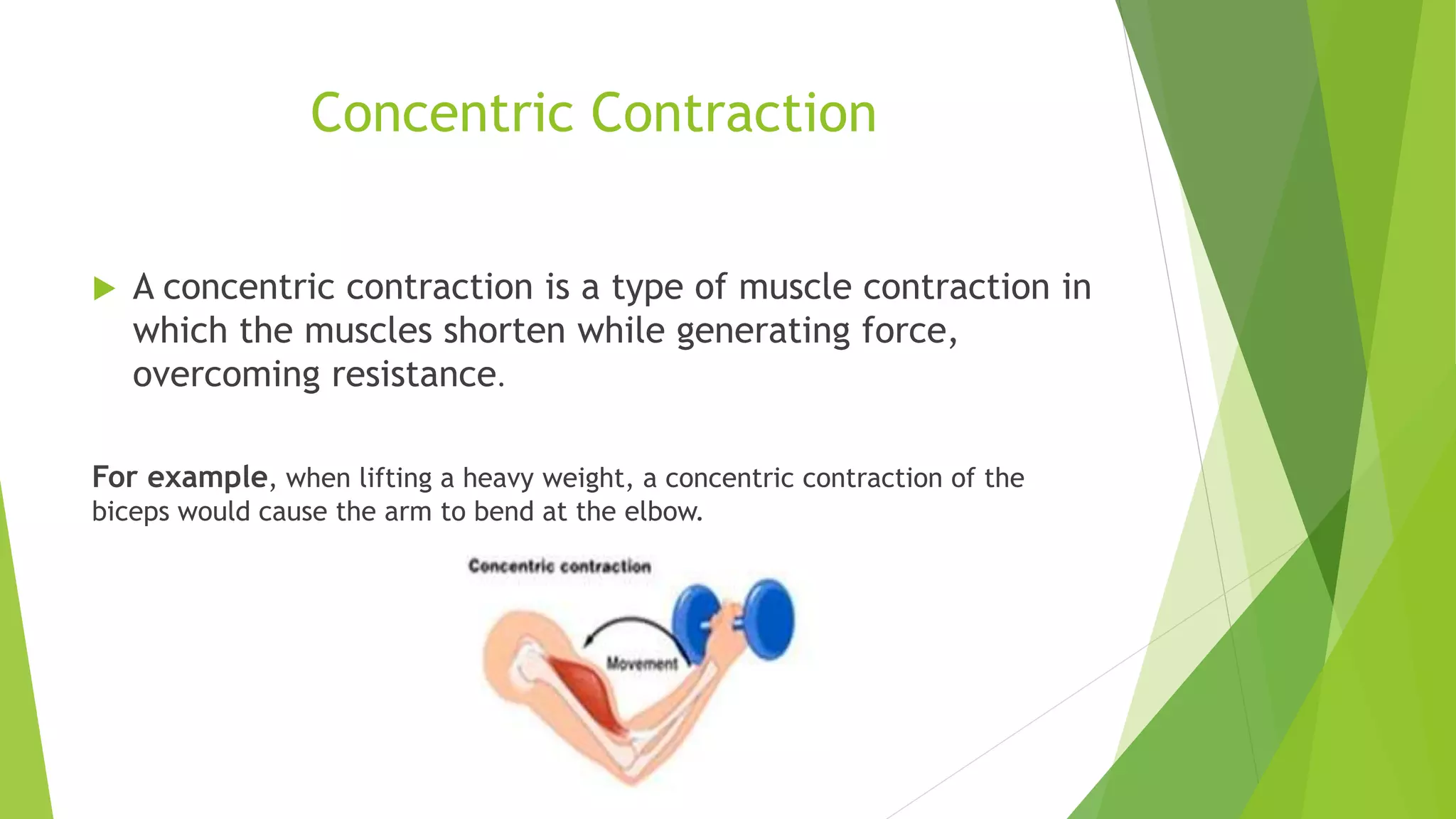 Types of muscle contraction | PPTX