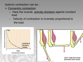 Types of muscle contraction ushnish | PPT