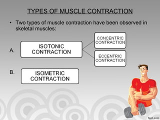 Types of muscle contraction ushnish | PPT