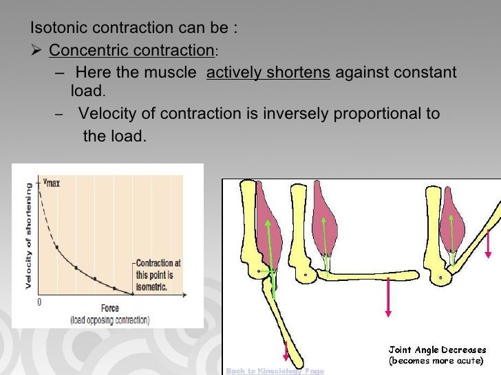 Types of muscle contraction ushnish
