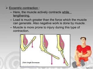Types of muscle contraction ushnish | PPT