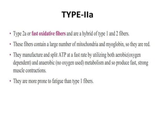 Types of muscles | PPTX