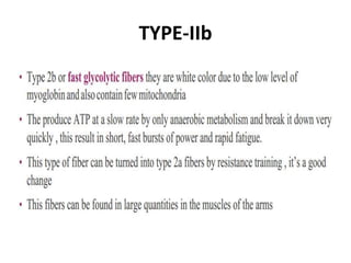 Types of muscles | PPTX