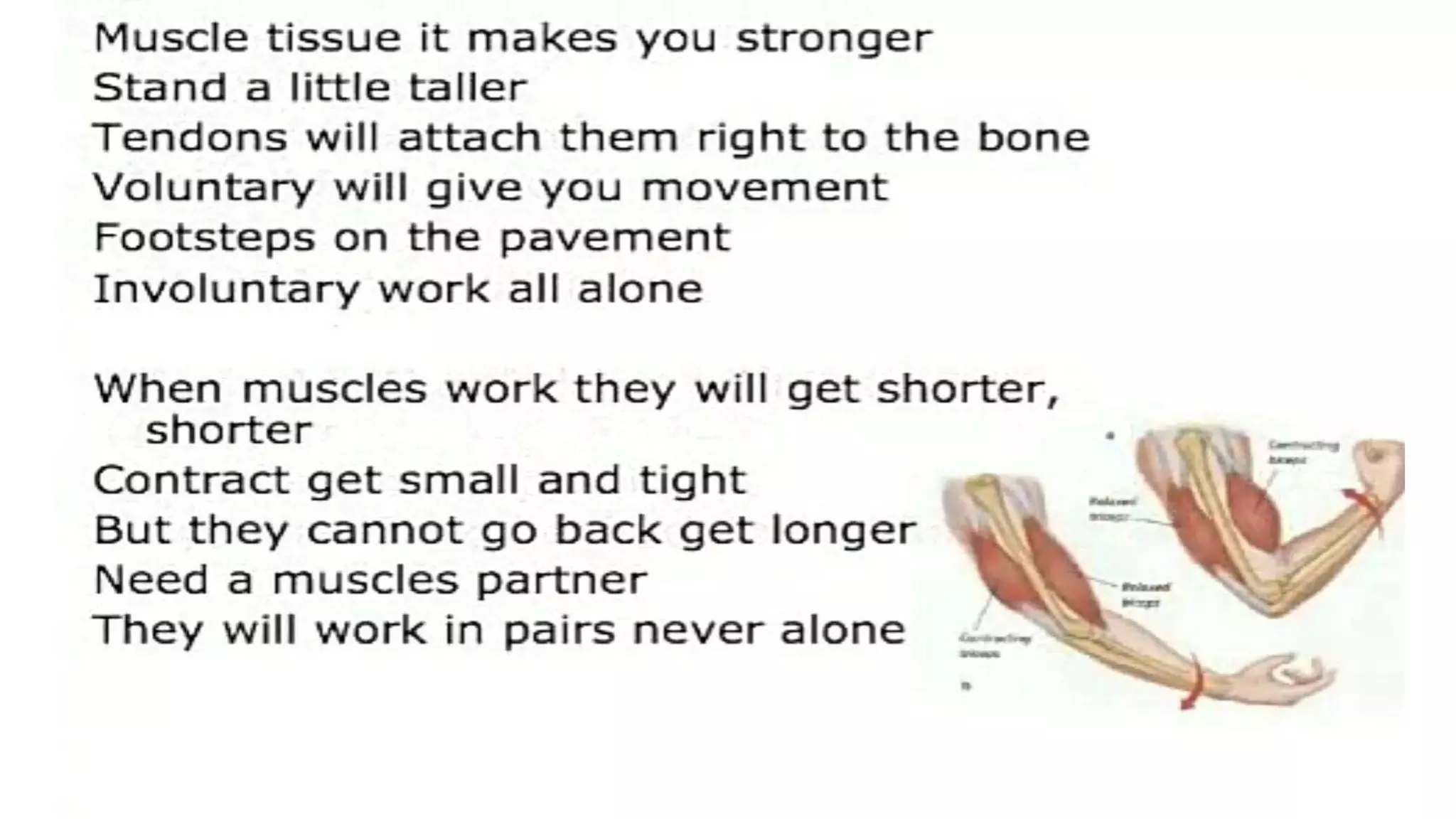 Types of muscles (song) | PPT