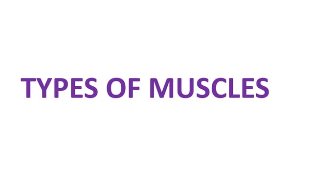 Types of muscles (song) | PPTX