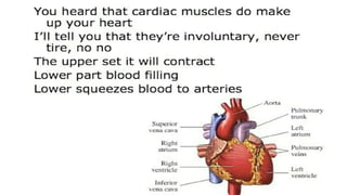 Types of muscles (song) | PPTX
