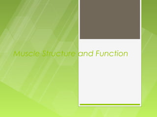 Types of Muscle Tissue | PPT