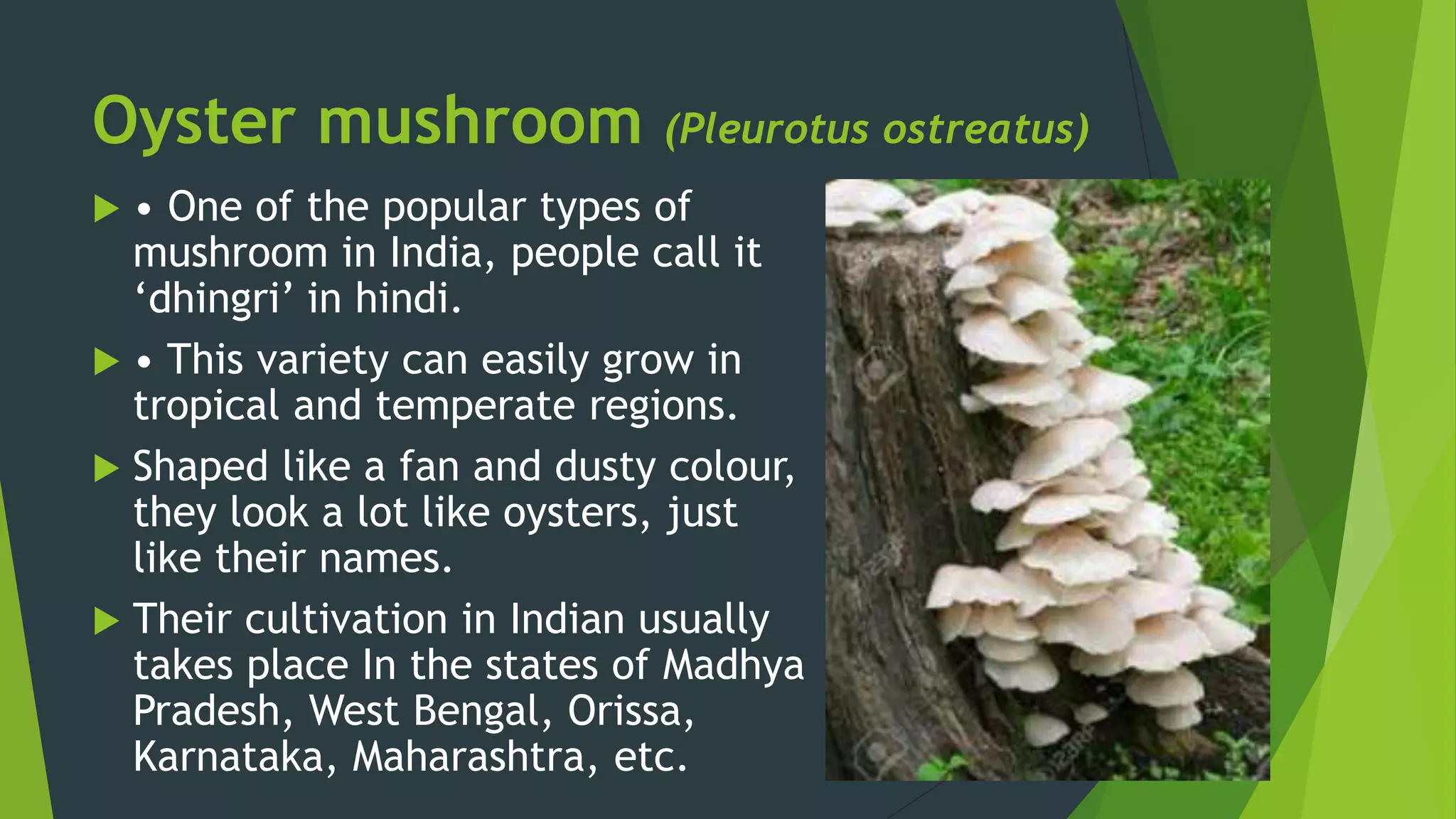 Types of mushroom | PDF
