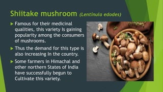 Types of mushroom | PDF