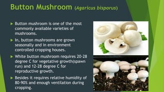 Types of mushroom | PDF